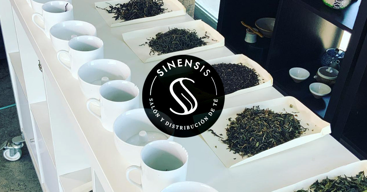 SINENSIS MX ~ Té puro, té premium – SINENSIS.MX
