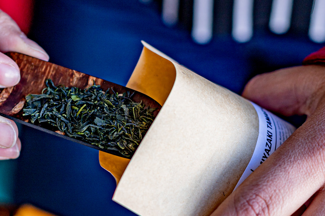 SINENSIS MX ~ Té puro, té premium – SINENSIS.MX